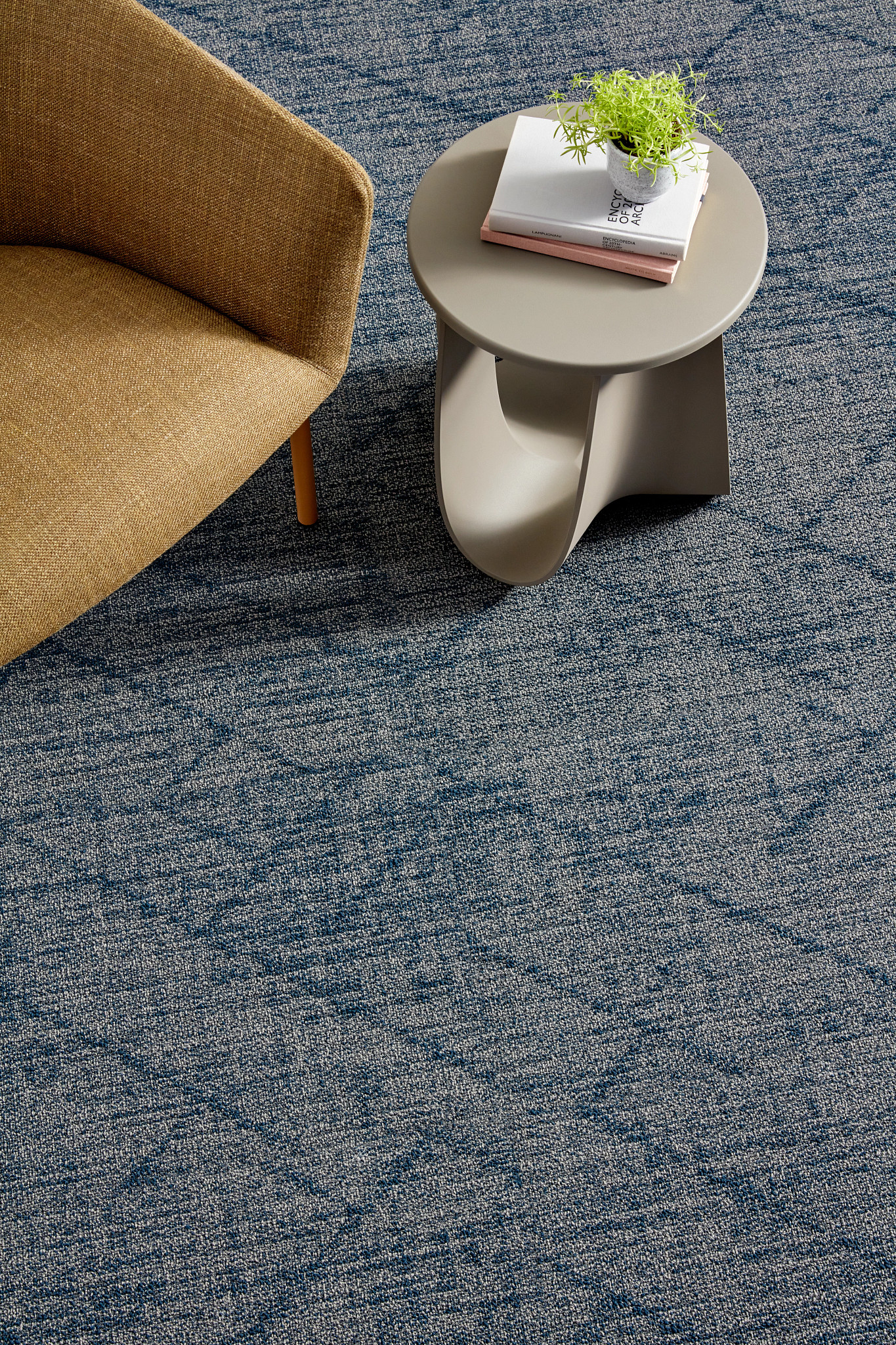 New Path | ShawContract